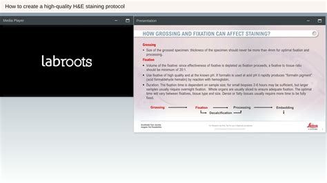 Master Hande Staining The 10 Step Protocol You Need To Know