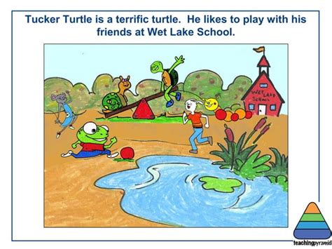Tucker Turtle Ppt Reptiles Pets