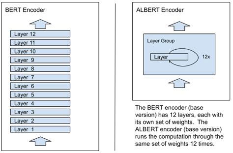 Albert Parameter Sharing Download Scientific Diagram