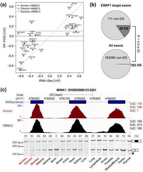 Validation Of Differentially Spliced Exons Between Placental And Other Download Scientific