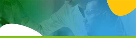 Exploring Non Clinical Research And Alternative Methods Venn Life Sciences