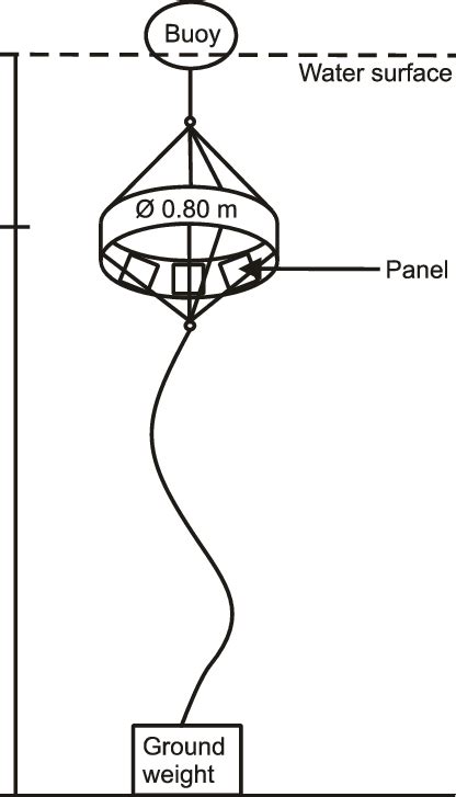 Construction Of The Set Ups Download Scientific Diagram