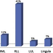 The Lobar Involvement In The Patients Of Acute PE In The Non Oncology Download Scientific