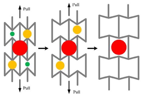 Schematic Of Variable Permeability In Auxetic Structures Reprinted