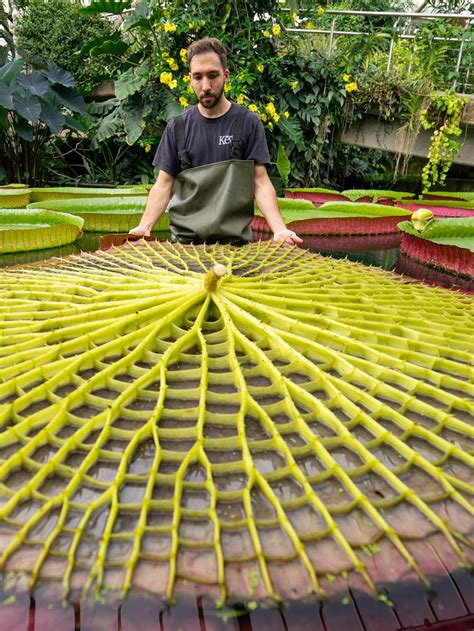 Attiny85 Fastled Subpixel Scrolling Wokwi Esp32 Stm32 49 Off