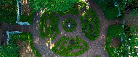 Graduate Certificate In Complexity Leadership Mary Frances Early College Of Education