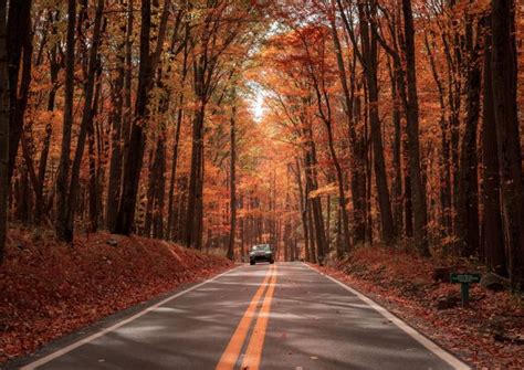 West Virginia Releases Fall Foliage Projection Map Expects A Vibrant