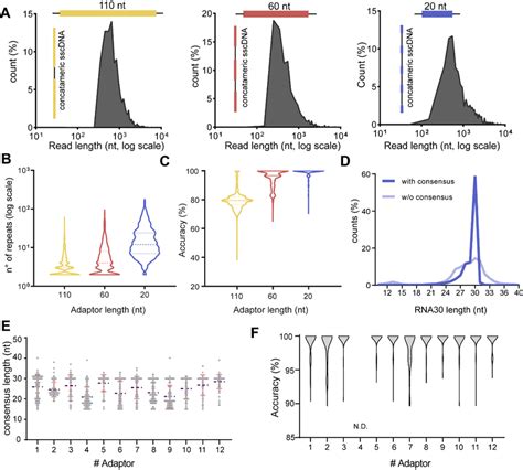 Circaid P Seq Workflow Optimization A Three Different Adaptors Download Scientific Diagram