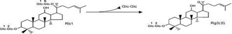 Transformation Pathways From Ginsenoside Rb1 Into Rg3 S By Pef Download Scientific Diagram