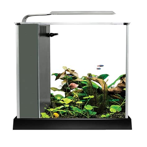 Aquario Fluval Spec 10l Paulo Vieira Aquários