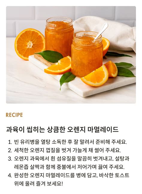 트릿지팜 고당도 호주산 네이블 오렌지 대과 10입 24kg 내외특과 10입 28kg 내외 유픽