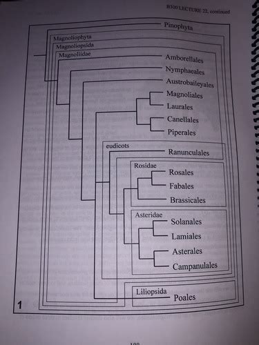 Biol B 300 Final Exam Flashcards Quizlet