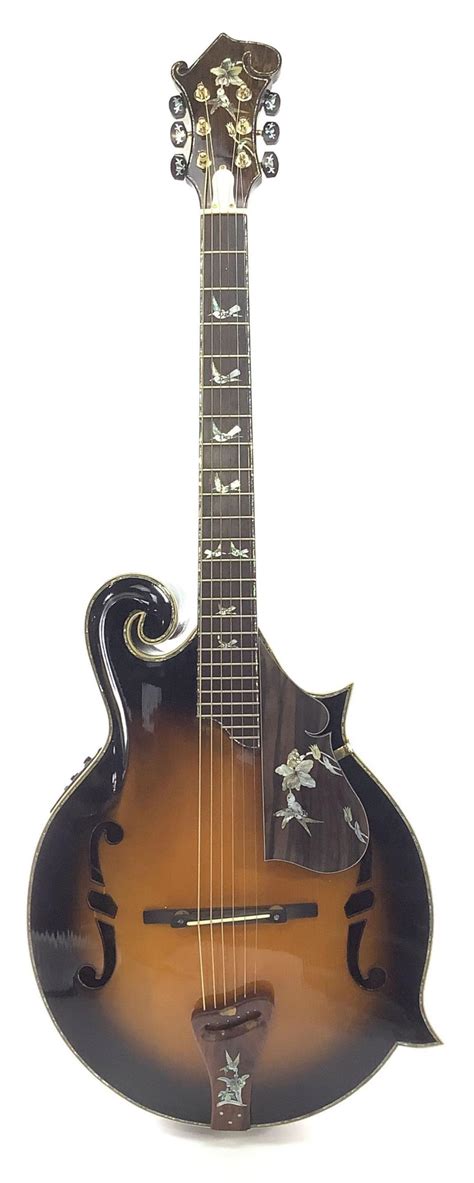 Lot Taisamlu Fancy Inlay Acoustic Electric Guitar