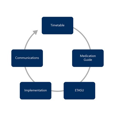 Understanding Fda Rems Programs Compliance And Implementation