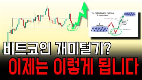 중요 비트코인 개미털기는 끝났습니다 꼭 시청하세요 Youtube