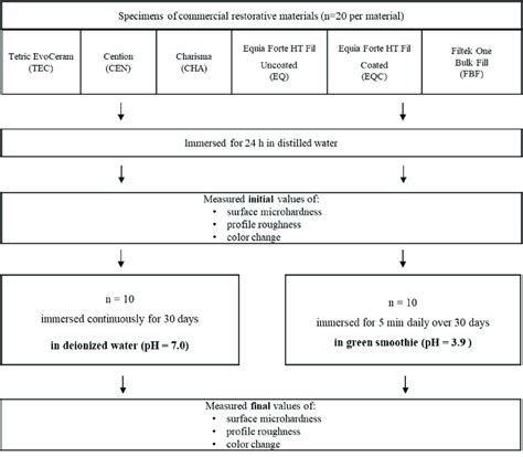 Flowchart Of The Experimental Protocol Download Scientific Diagram