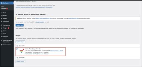 Click Update Plugins