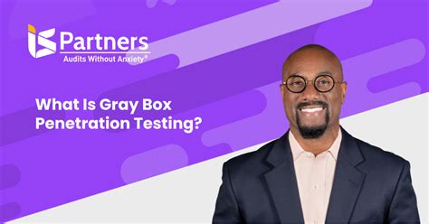 What Is Gray Box Penetration Testing