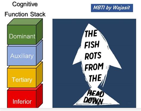 Mbti ปลาเน่าจากหัวลงไป ภาษิตโบราณของตุรกี ตรงกับชีวิตคนเรา ในเรื่อง Cognitive Function คือ ถ้า