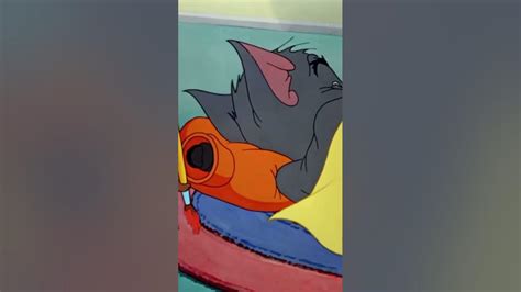 Tom And Jerry Is Jerry For Real Taking Care Of Tom 😱 Part 1 Youtube