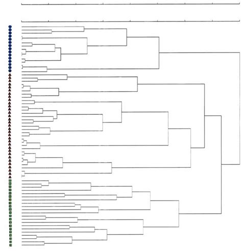 Dendrogram Of Cluster Analysis Of The Herb Layer Vegetation In The