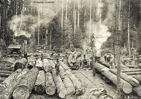 Antique Logging Pictures Arboristsite Com