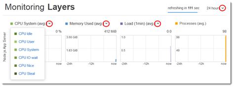 步骤 9：探索层监控报告 Aws Opsworks