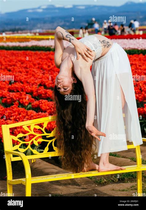 Long Haired Brunette Bending Over Backwards On Bench In Front Of Tulip Field Stock Photo Alamy