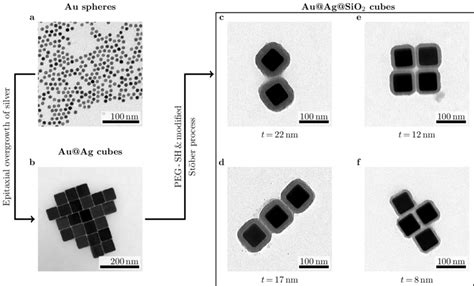 Schematic Synthesis Procedure For Silica Encapsulated Au Ag Core Shell Download Scientific