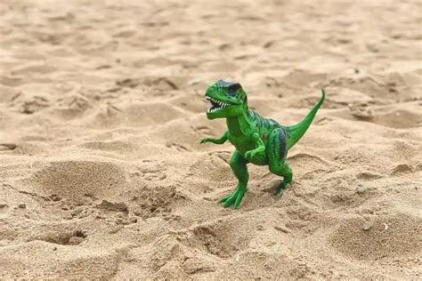 Unlocking The DINO Model For Self Supervised Learning