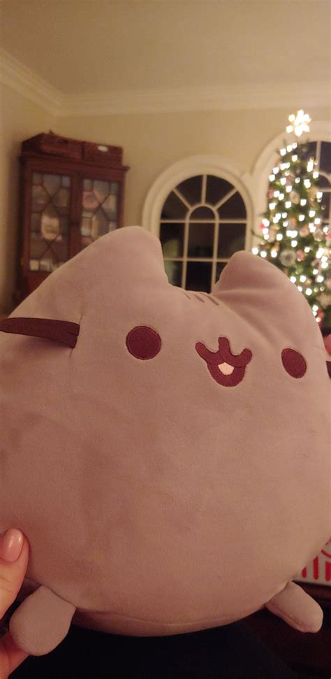 My Own Cat Log Boyfriend Surprised Me With A Squisheen For Christmas