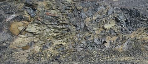 Geological Mapping Basis For The Geotechnical Model Conjugate Fault