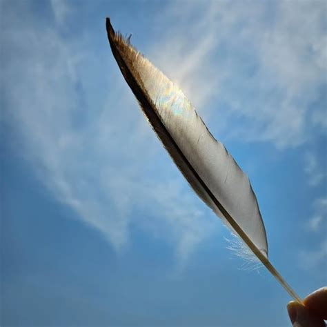 새콤달콤이네 Lovely Saecom Dalcom On Threads