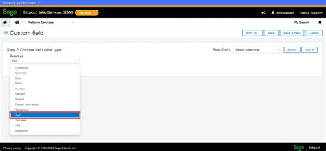 Configure Custom Fields In Sage Intacct For Business Solutions