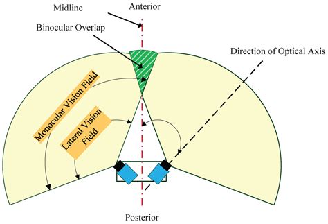 Applied Sciences Free Full Text Combining Biotriz And Multi Factor