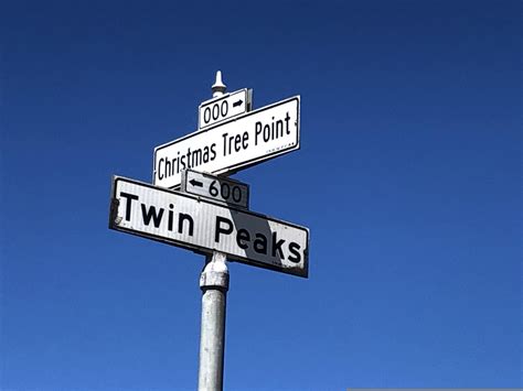 [블루버드여행사] 요세미티 샌프란시스코 3박4일 La 다운타운 출발 줌줌투어 미국 La