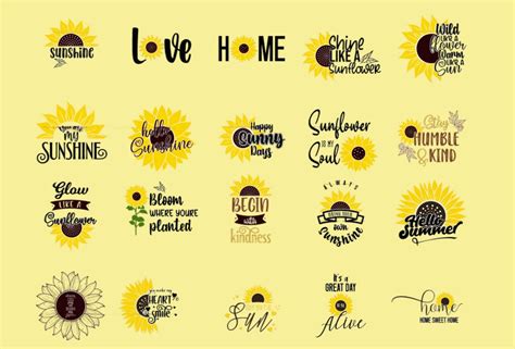 Sunflower Quote Svg Bundle Sunflower Svg Bundle Floral Svg Floral