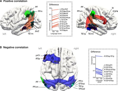 Relating Changes In Connectivity And The L2 Proficiency From Three 276 Download Scientific