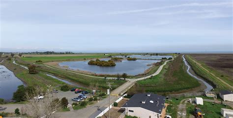 A California District Combines Wetland… Treatment Plant Operator