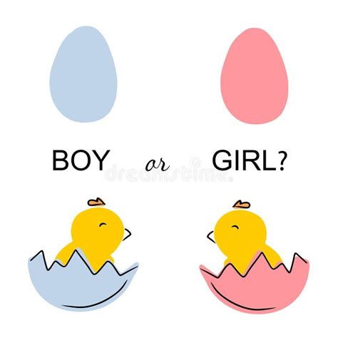 Girl Guessing On A Daisy Stock Vector Illustration Of Blossom 135050285