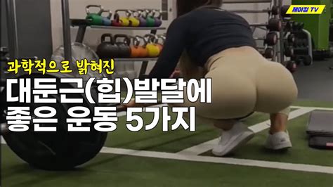 대둔근힙운동 중 최고의 운동 5가지이운동 5가지만 하면 힙 무조건 커집니다 Youtube