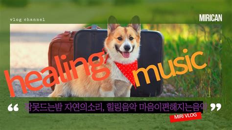 힐링힐링음악클래식음악아름다운음악기분전환음악행복해지는음악명상음악피아노연주기타연주마음이편안해지는영상수면음악심신