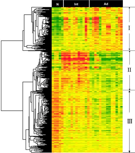 hierarchical clustering analysis of the differentially expressed genes download scientific