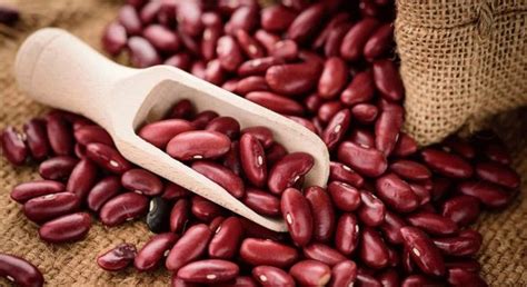 Срок хранения фасоли: сколько хранятся сухие семена красной и белой ...