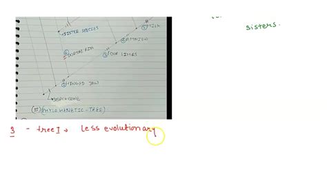 solved short answer practice problem scientific inquiry draw it a