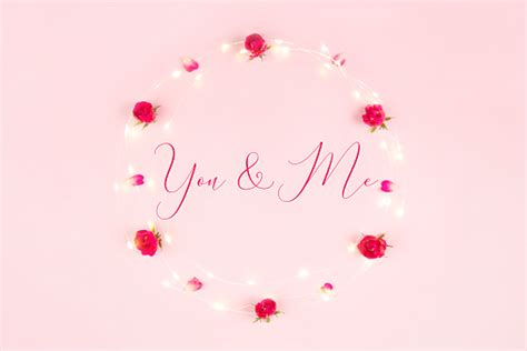 분홍색 배경에 요정 조명이 달린 장미와 장미 꽃잎의 프레임에 Youme 비문이 새겨져 있습니다 공휴일에 대한 스톡 사진 및 기타 이미지 Istock