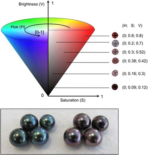 the hue saturation value hsv colour code system used to quantify download scientific diagram
