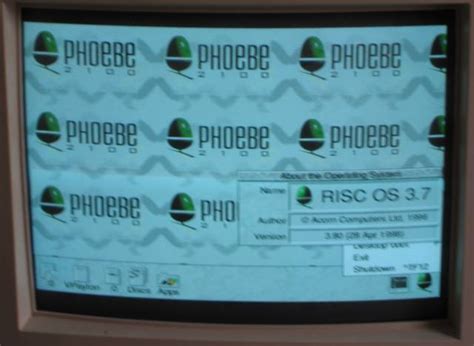 Chriss Acorns Acorn Phoebe 2100