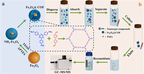 Schematic Diagrams Showing A The Synthesis Of Fe3o4 Cof And B The Download Scientific