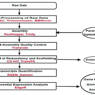 Workflow For The Bioinformatics Analysis Implemented In This Study Download Scientific Diagram